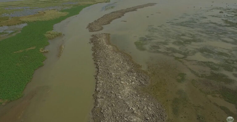 New Land In A Disappearing Delta – Vanishing Paradise